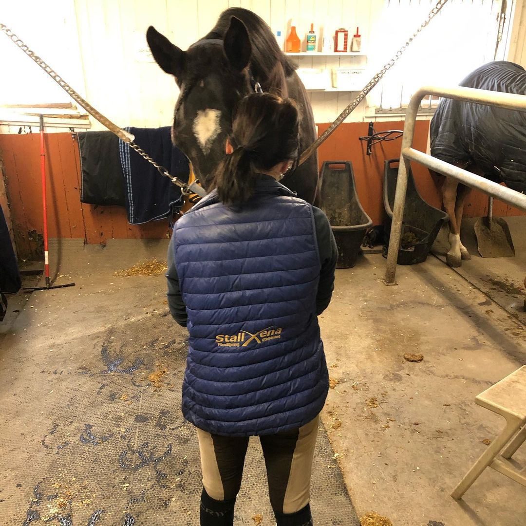 Personal – Stall Xena